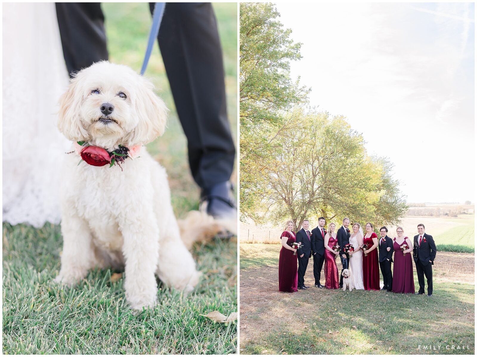 5 Tips for Including Your Dog in Your Wedding Photos - Emily Crall Blog ...