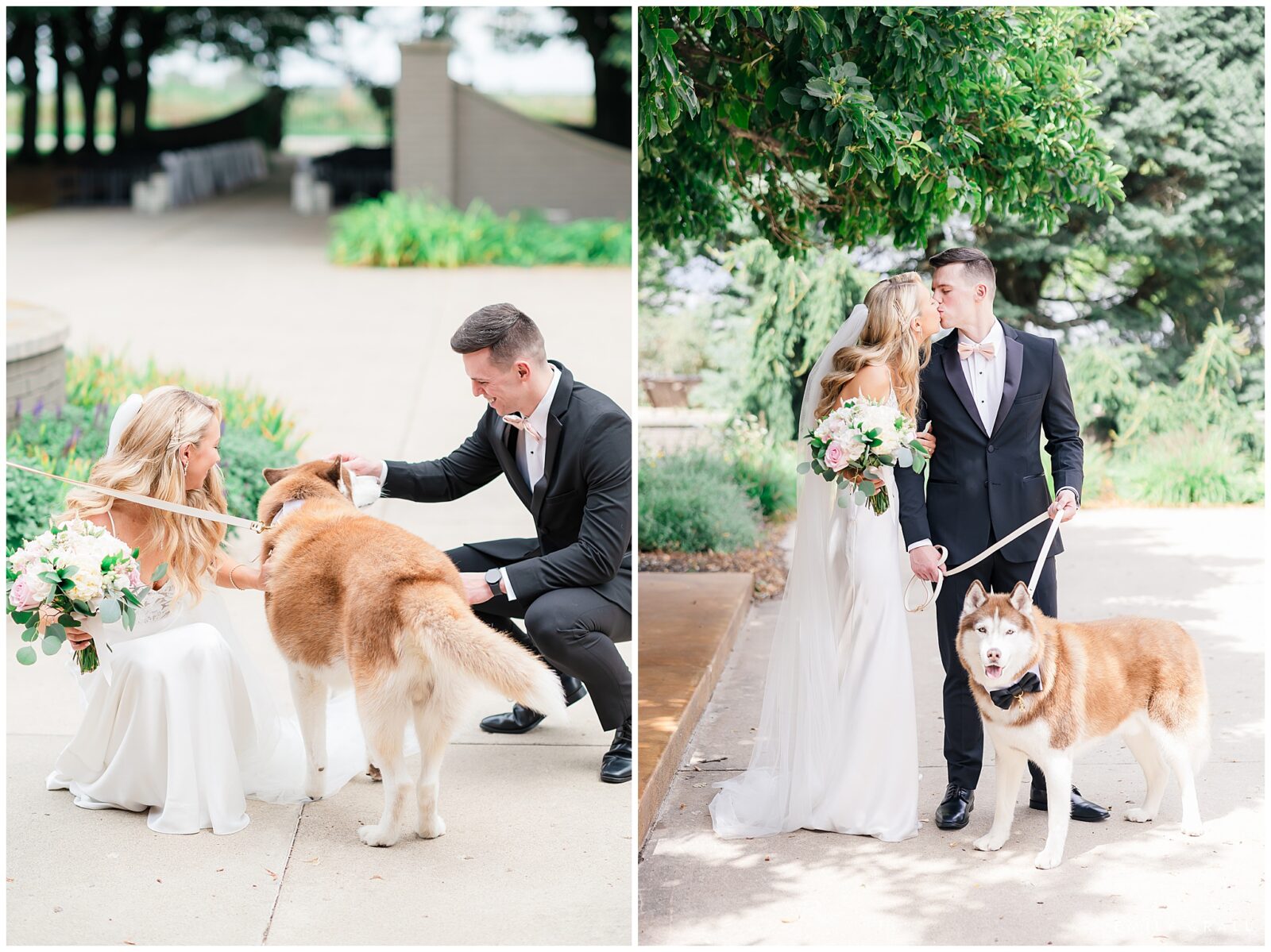 5 Tips for Including Your Dog in Your Wedding Photos - Emily Crall Blog ...