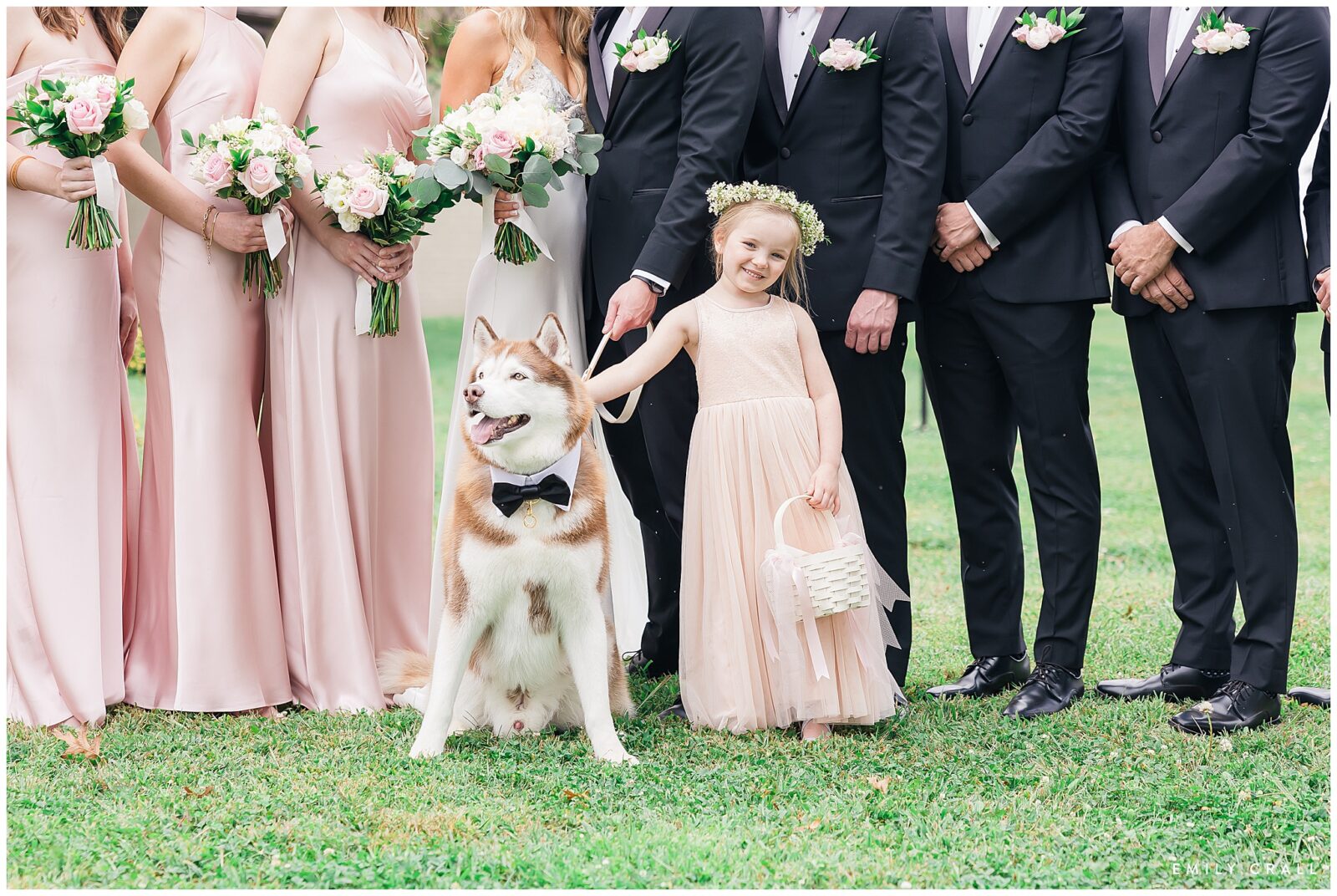 5 Tips for Including Your Dog in Your Wedding Photos - Emily Crall Blog ...