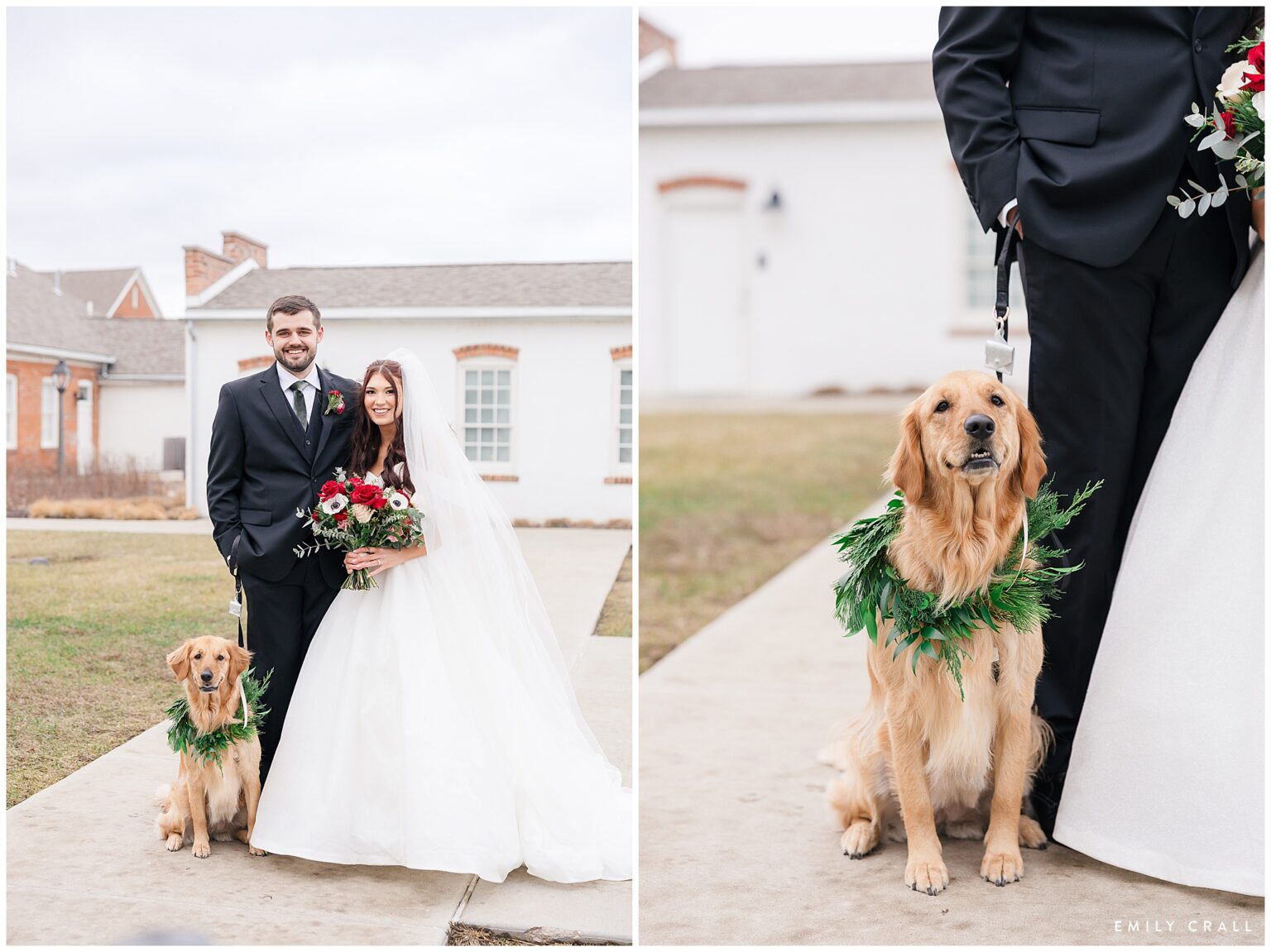 5 Tips for Including Your Dog in Your Wedding Photos - Emily Crall Blog ...