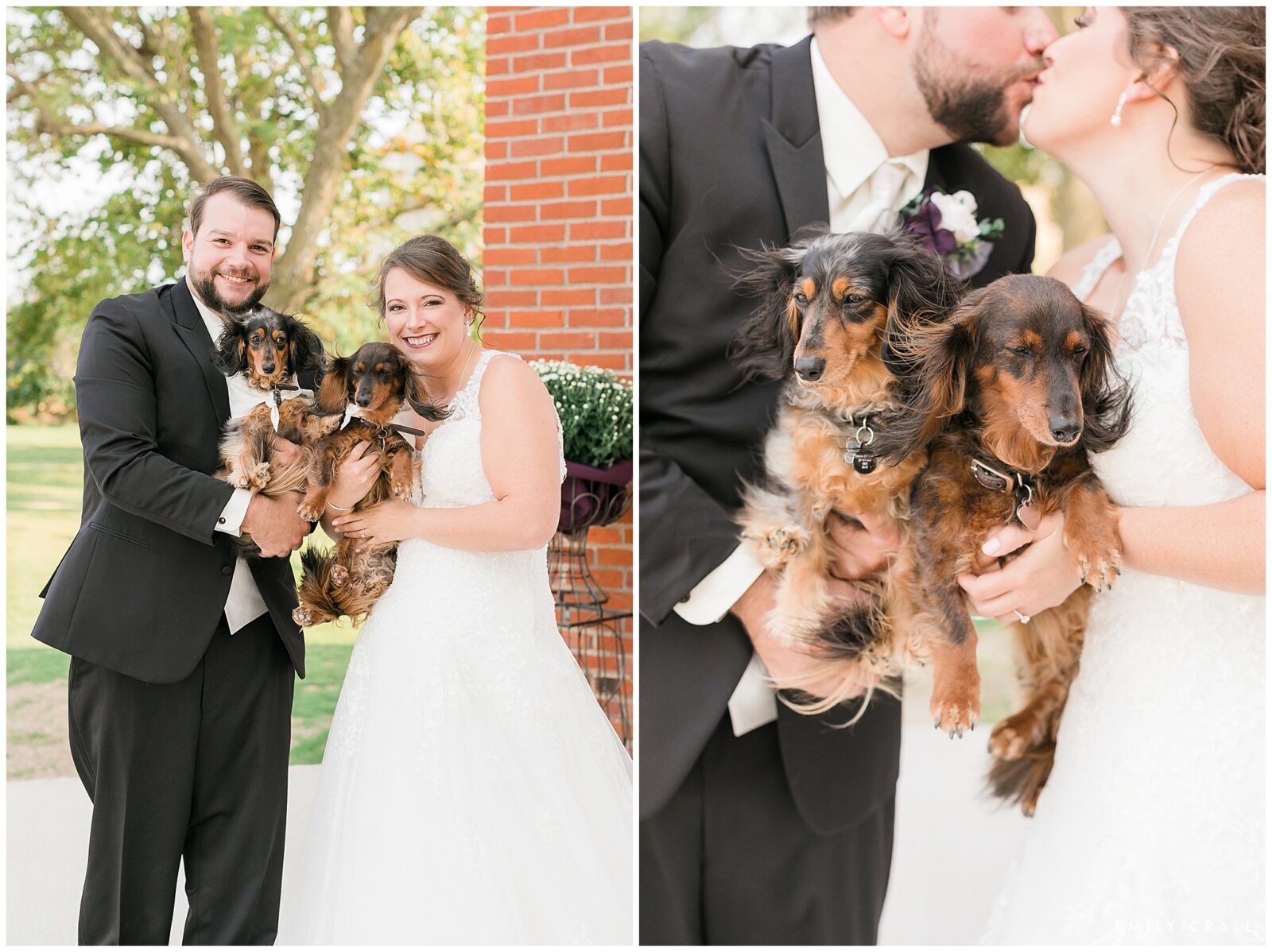 5 Tips for Including Your Dog in Your Wedding Photos - Emily Crall Blog ...