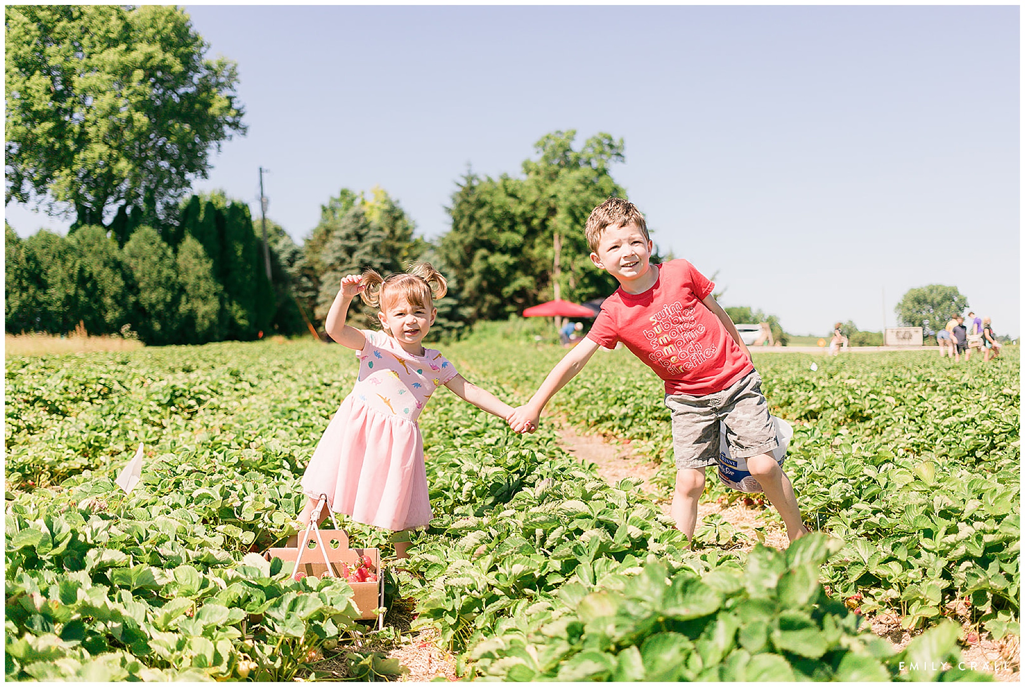 2020 Crall Family Personal - Emily Crall Blog | Wedding Photographer