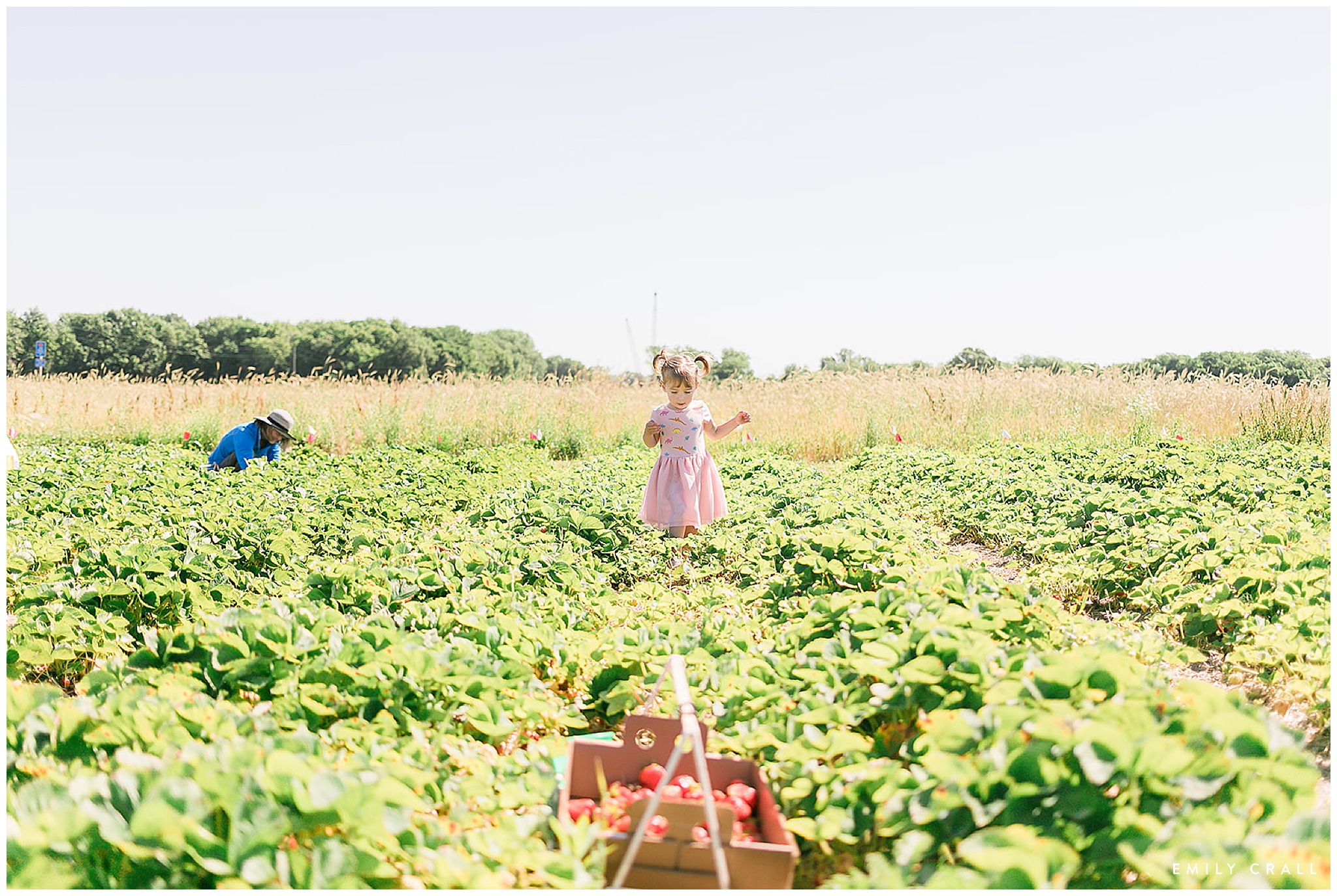 2020 Crall Family Personal - Emily Crall Blog | Wedding Photographer