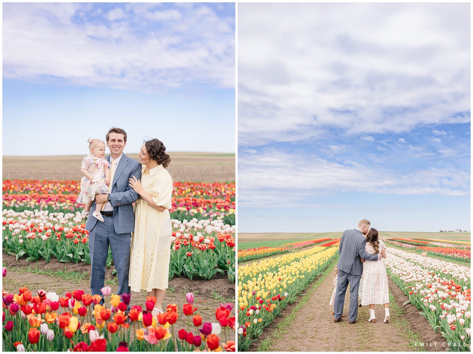 A Bloomsbury Farm Spring Tulip Field Extended Family Shoot